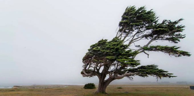 Windradar — eine komplette Übersicht über die Windkarte